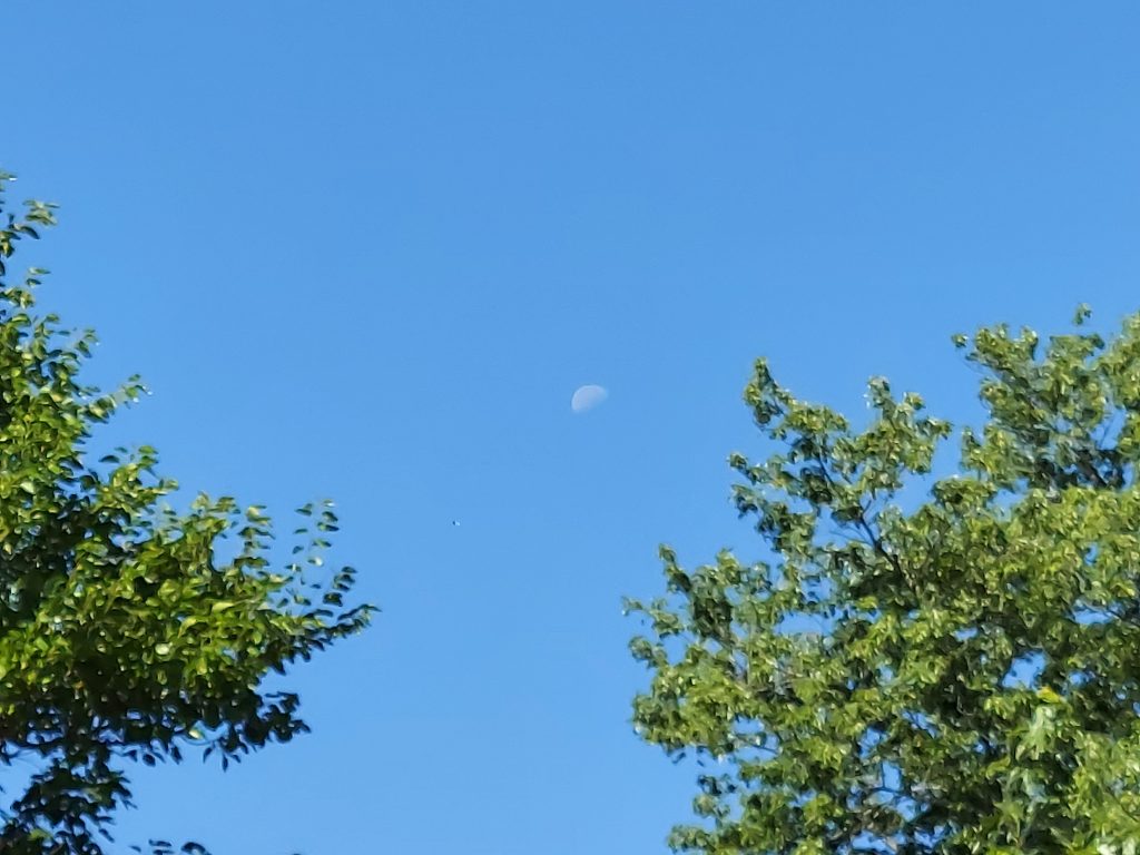 National Moon Day + Photos of July’s Super Full Moon – Versatileer