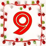 Ends 12-19 – 12 Days of Christmas Giveaways – Day 4 – Wild Card [Blu ...